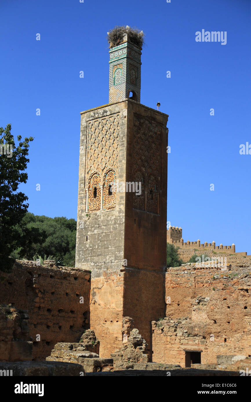 Chellah is a necropolis and complex of ancient Roman and medieval ruins ...