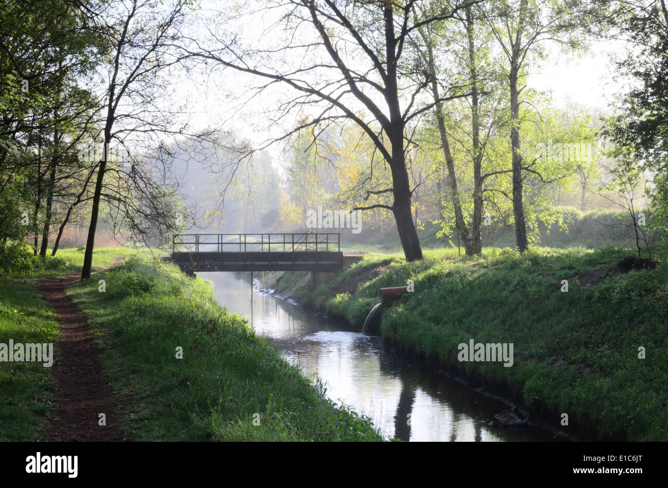 Pathway drainage hi-res stock photography and images - Alamy