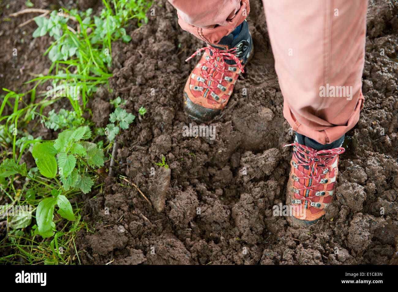 Walking in a trail hi-res stock photography and images - Alamy