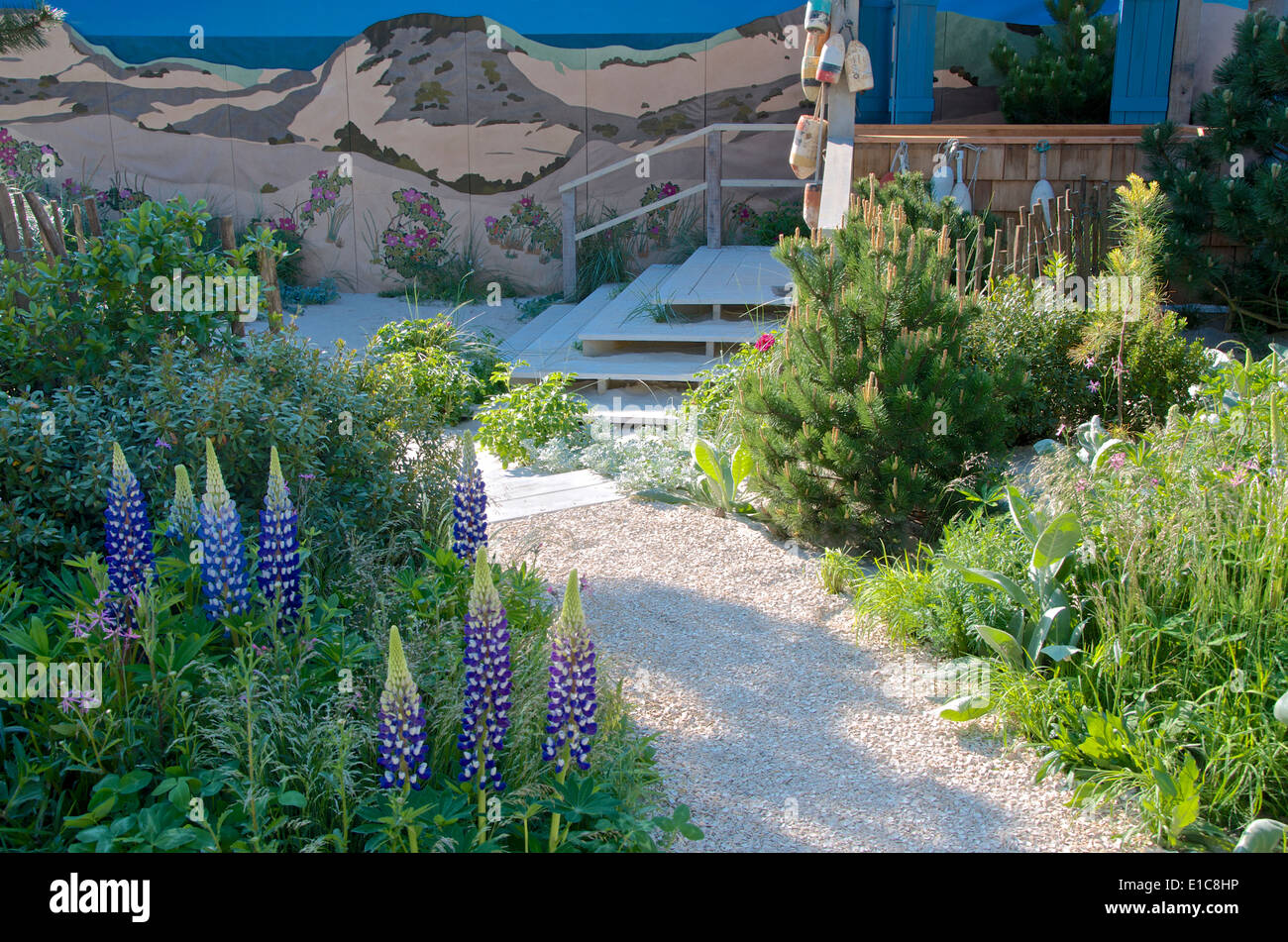 The Massachusetts Garden at RHS Chelsea Flower Show 2014 Stock Photo ...