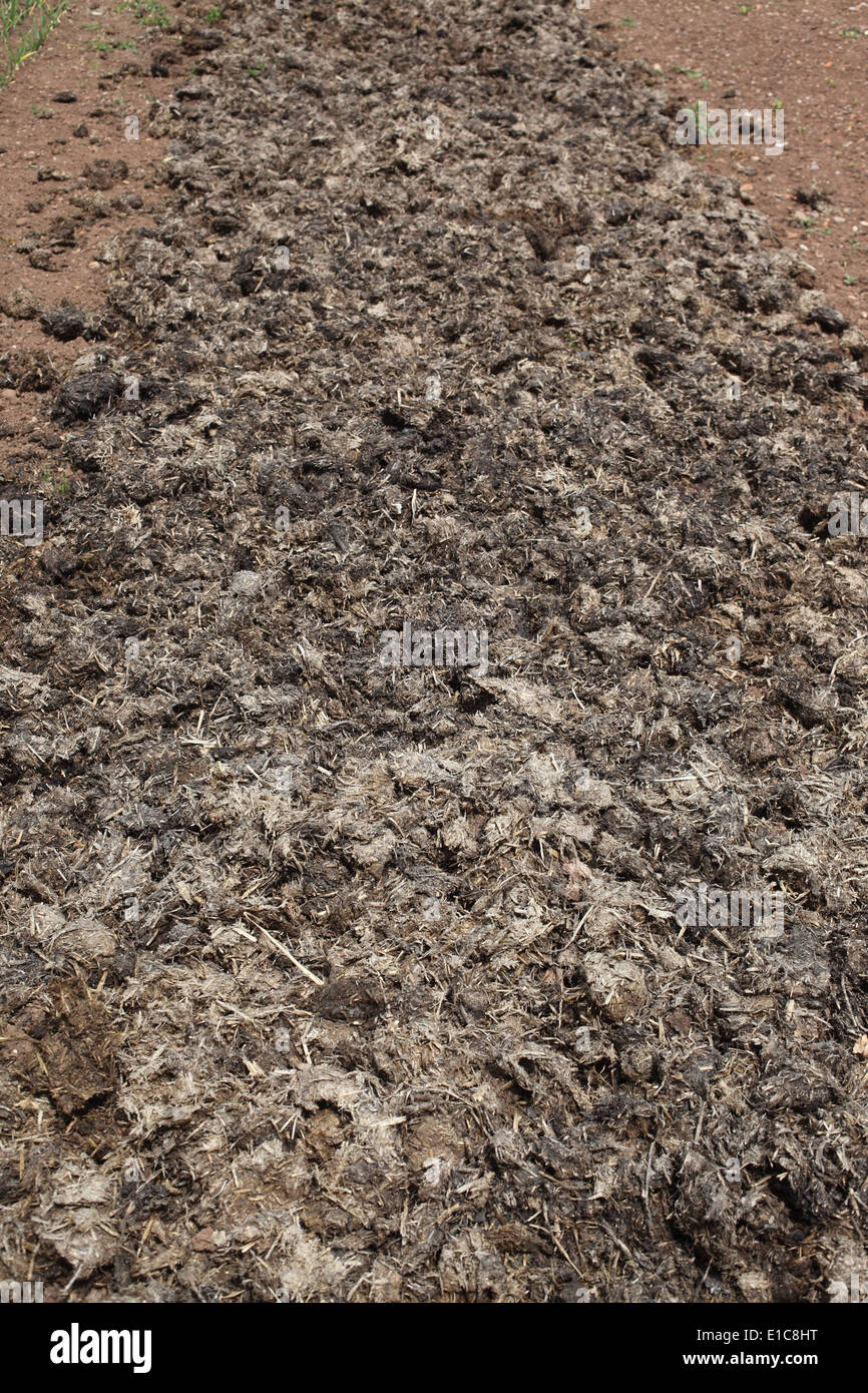 Farmyard manure hi-res stock photography and images - Alamy