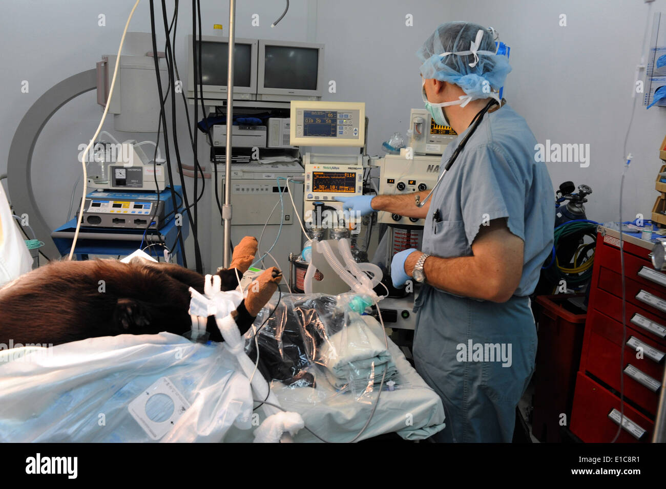 U.S. Navy Capt. John Shapira, an anesthesiologist, monitors Hektor, a ...
