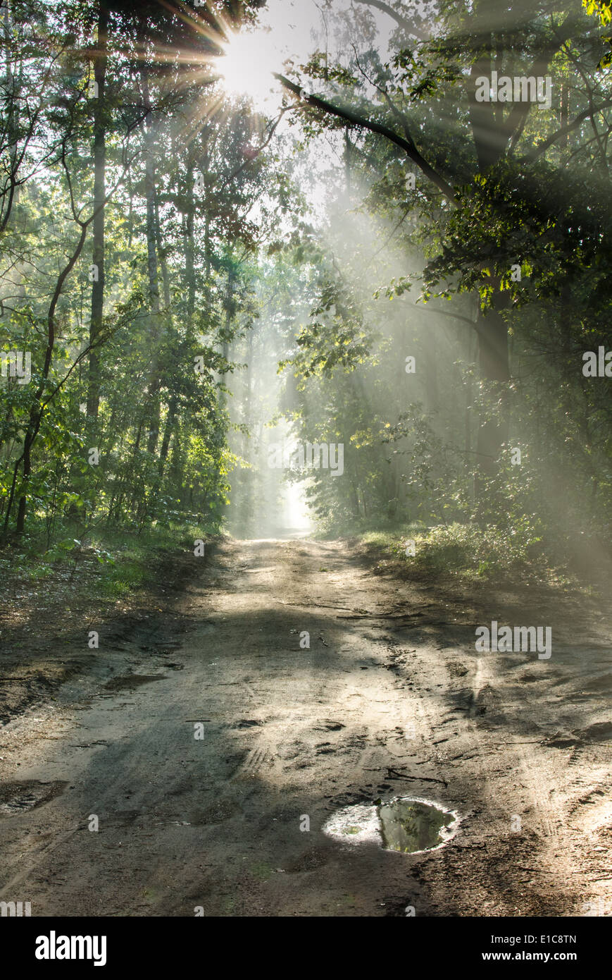 Sunbeams and road hi-res stock photography and images - Alamy