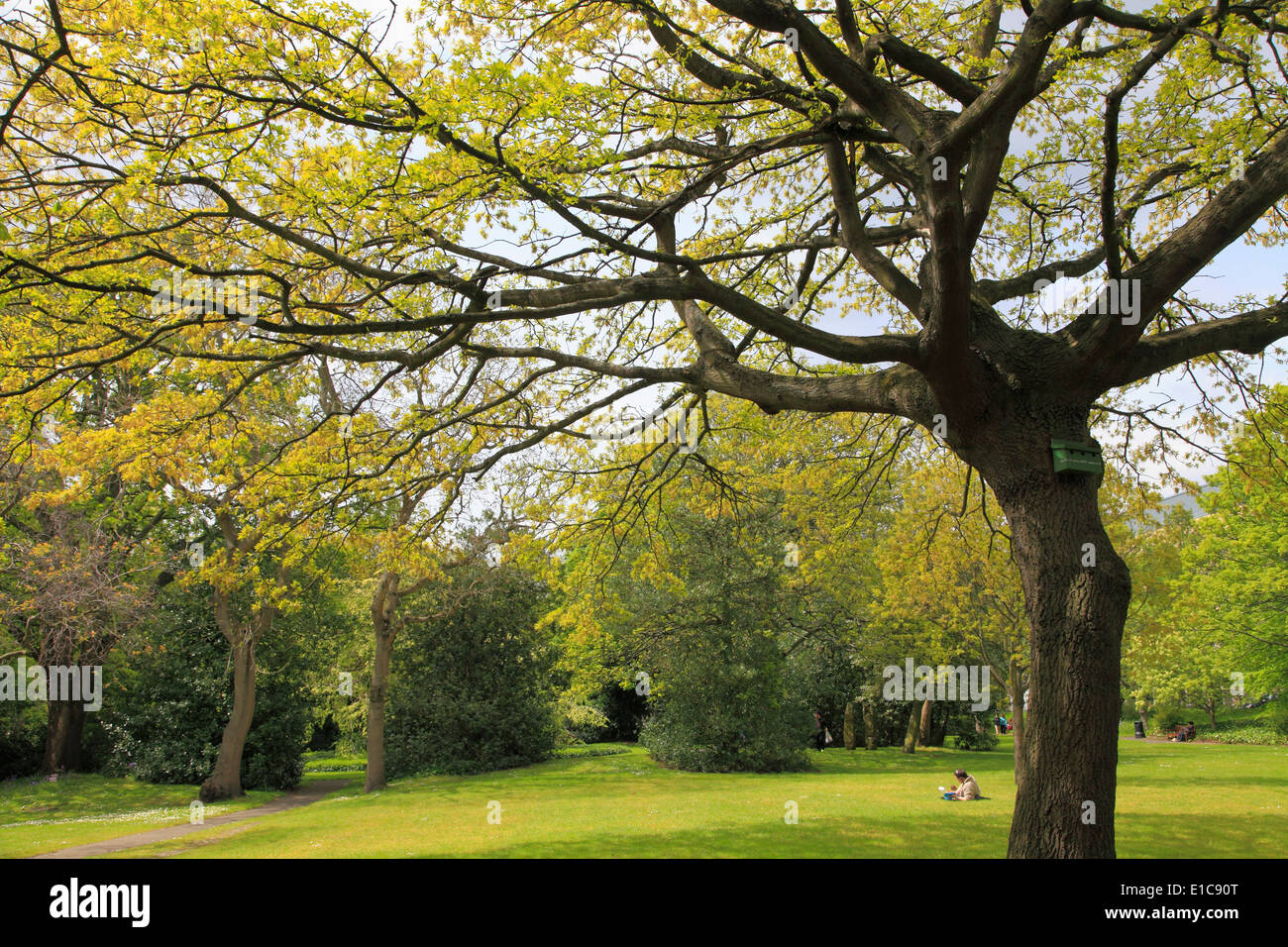 George square and edinburgh hi-res stock photography and images - Alamy