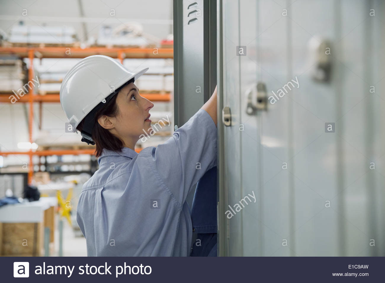 Reaching plant hi-res stock photography and images - Alamy