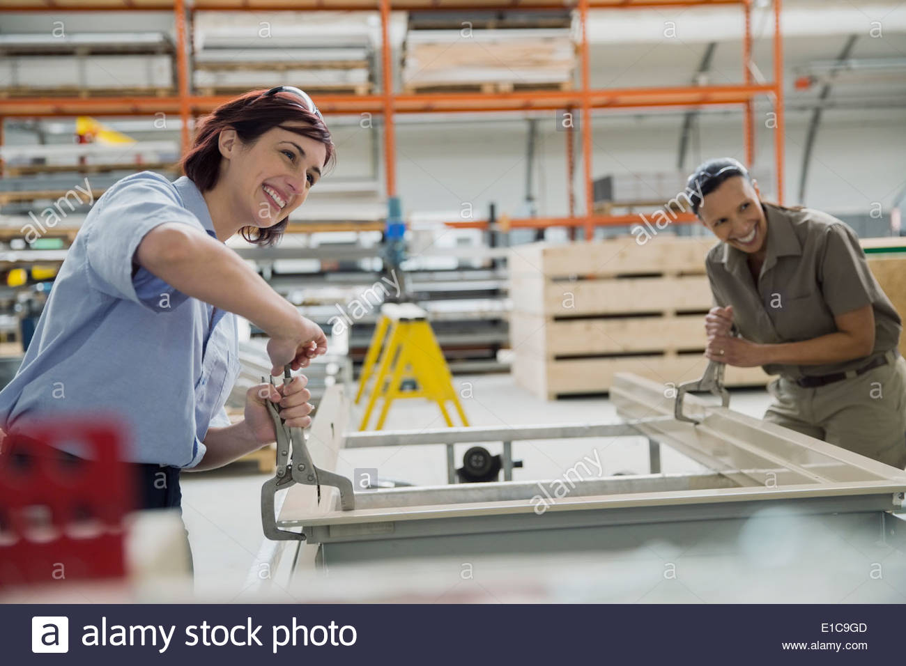 Plant grip hi-res stock photography and images - Alamy