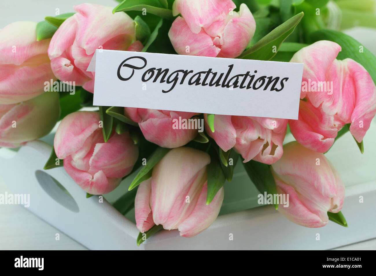 Congratulations card with pink tulips Stock Photo - Alamy