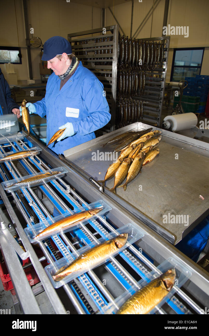 Fish packing plant hi-res stock photography and images - Alamy