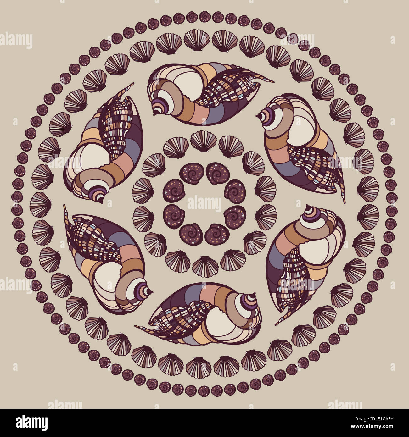 Sea Shell Mandala High Resolution Stock Photography and Images - Alamy