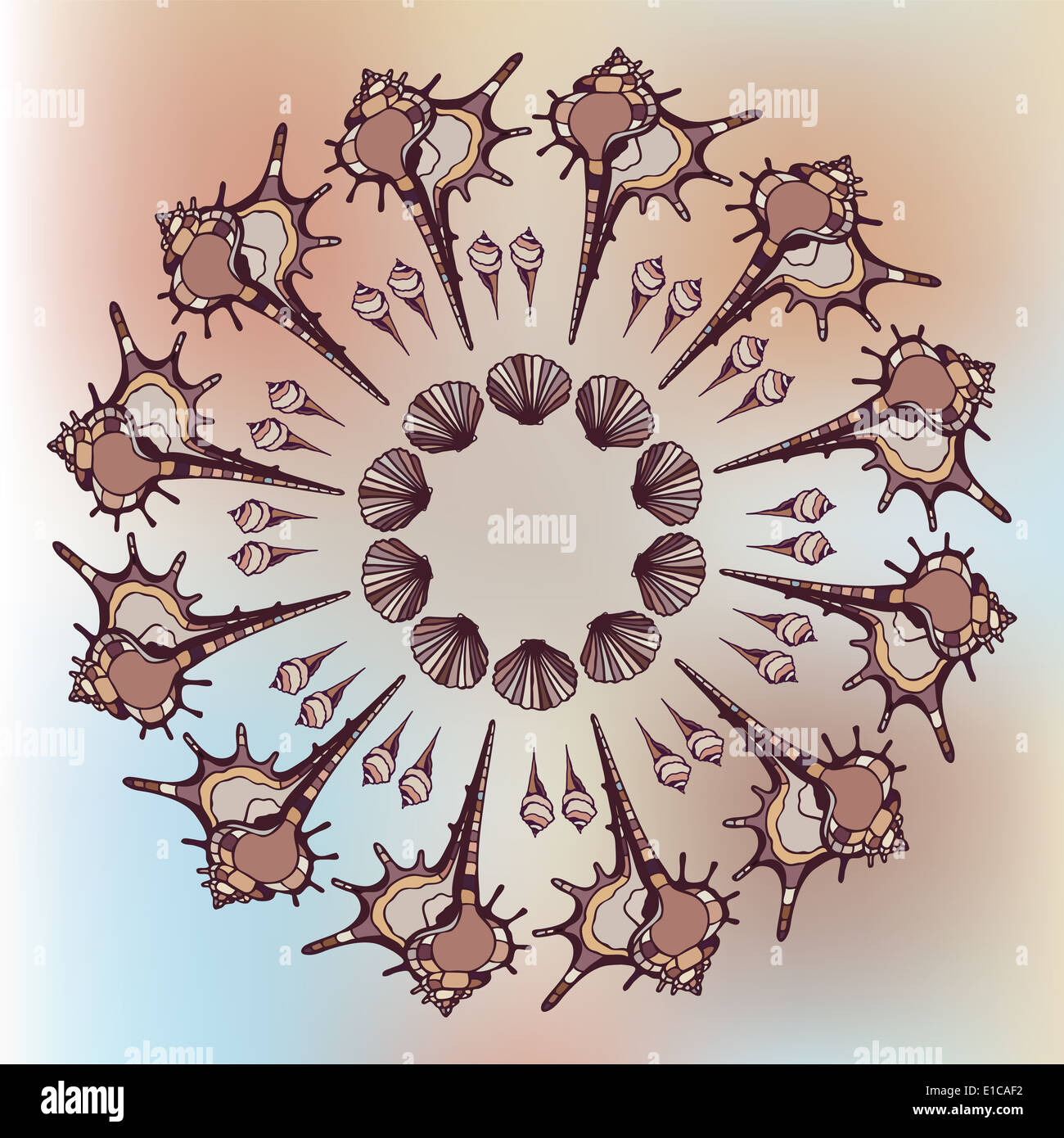 Mandala made of Seashells Stock Photo - Alamy