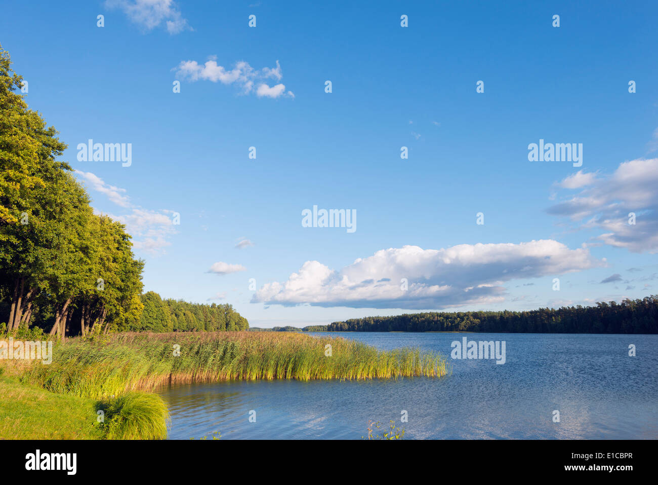 Wigry National Park High Resolution Stock Photography and Images - Alamy
