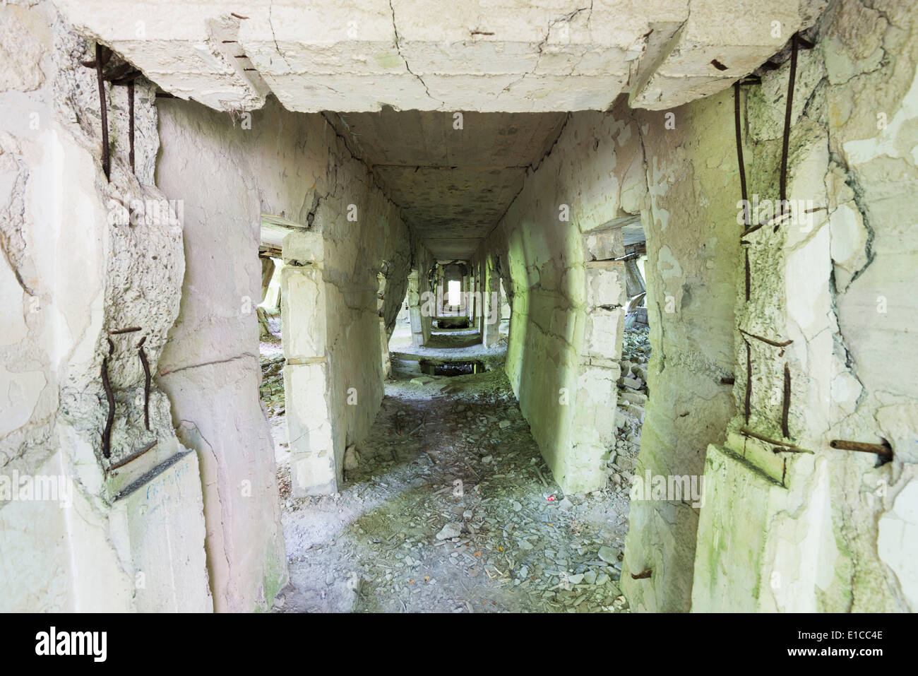 Wolf's lair wolf's lair hi-res stock photography and images - Alamy