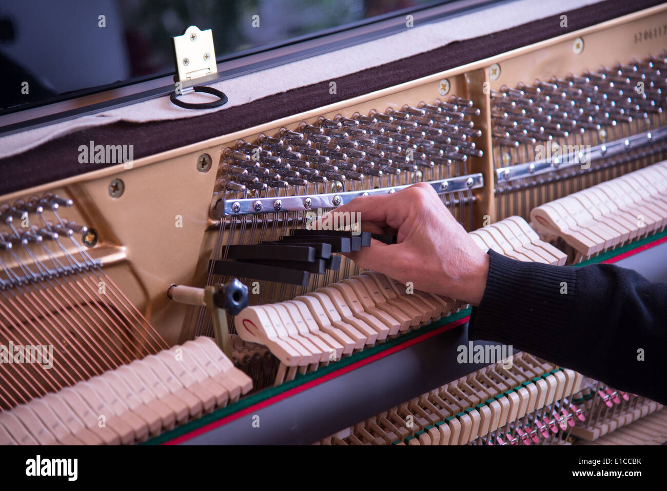 Ratchet musical instrument hi-res stock photography and images - Alamy