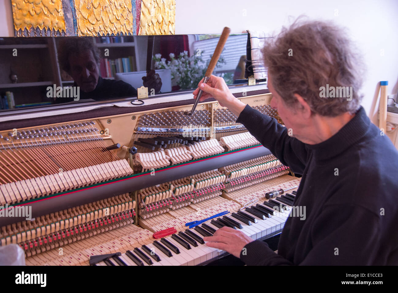 Ratchet musical instrument hi-res stock photography and images - Alamy
