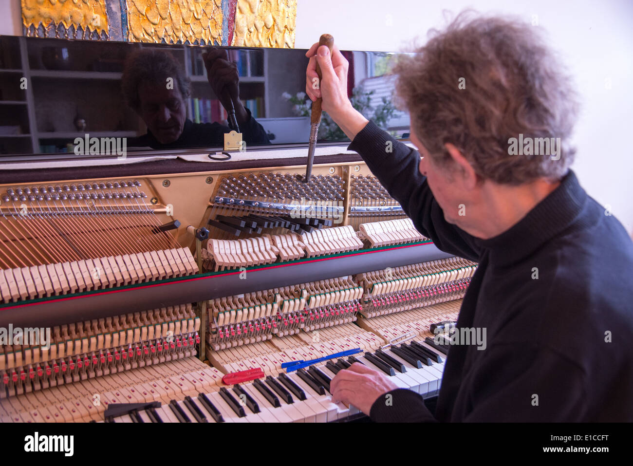 Ratchet musical instrument hi-res stock photography and images - Alamy