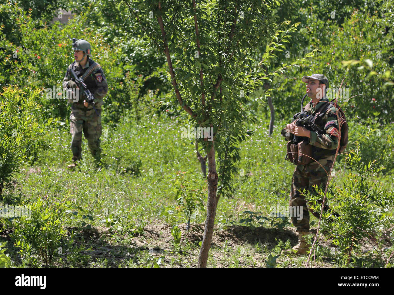 Afghan National Army Special Forces commandos with the 6th Special ...