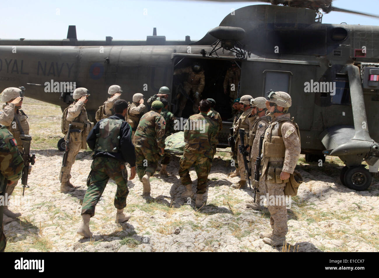 Afghan National Army soldiers load a fallen soldier into a British ...