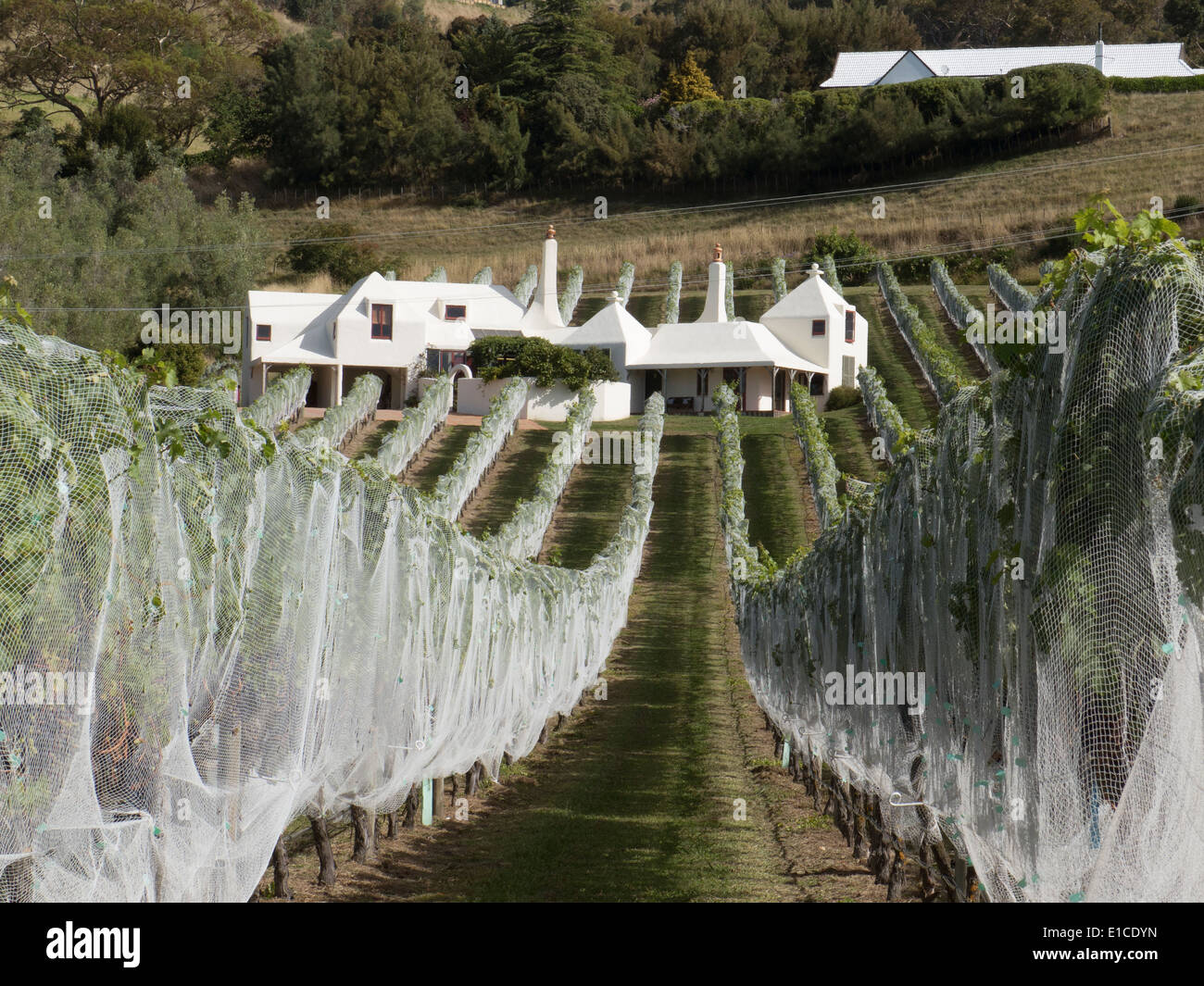 Te mata new zealand winery hi-res stock photography and images - Alamy