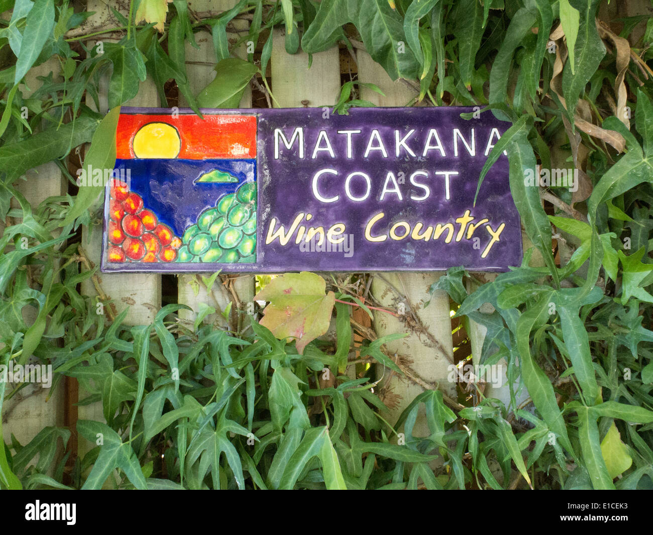 Matakana new zealand hi-res stock photography and images - Alamy