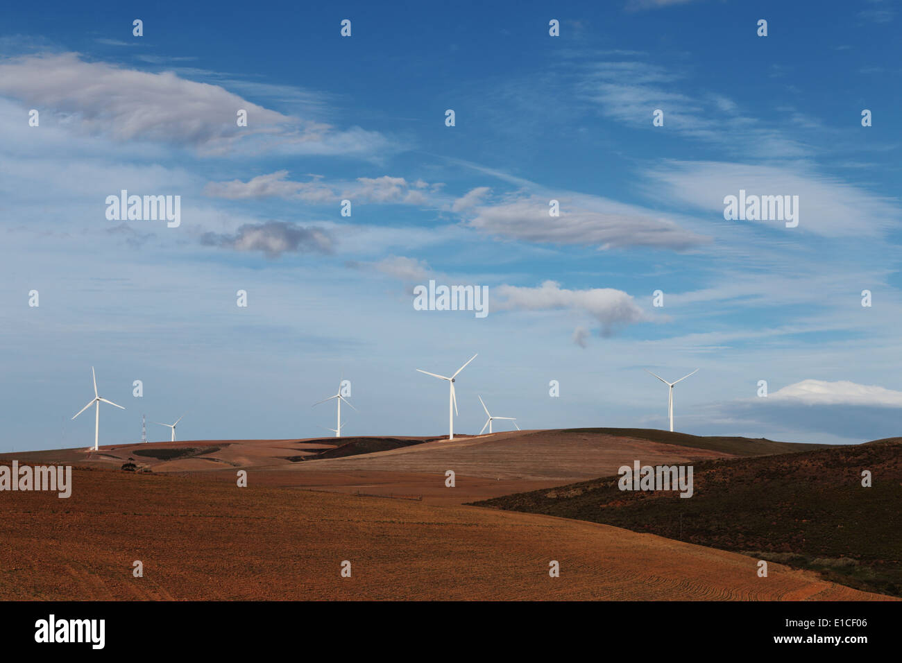 Wind farm in Caledon, South Africa Stock Photo - Alamy
