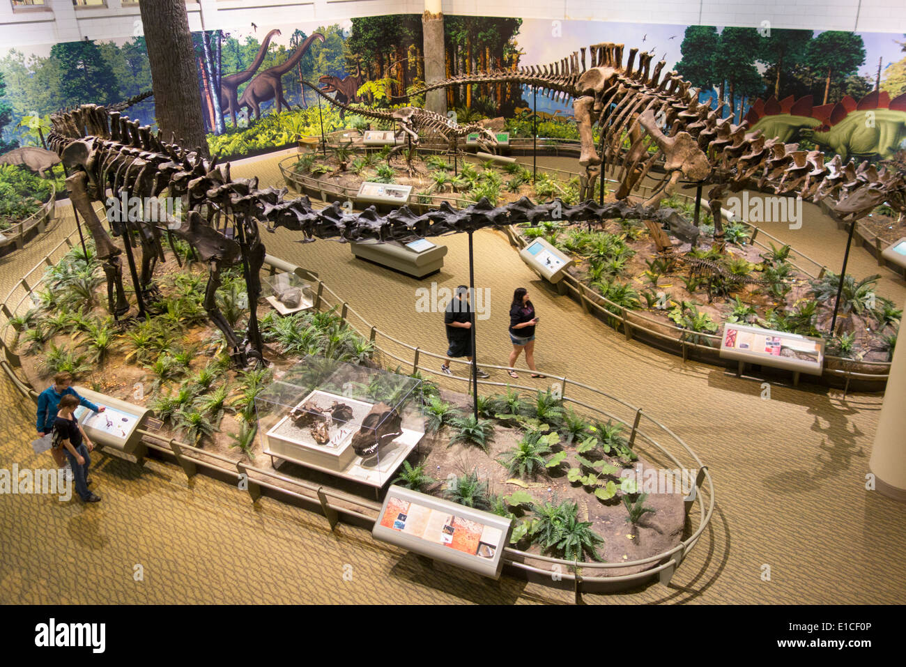 Carnegie museum of natural history in Pittsburgh PA Stock Photo - Alamy