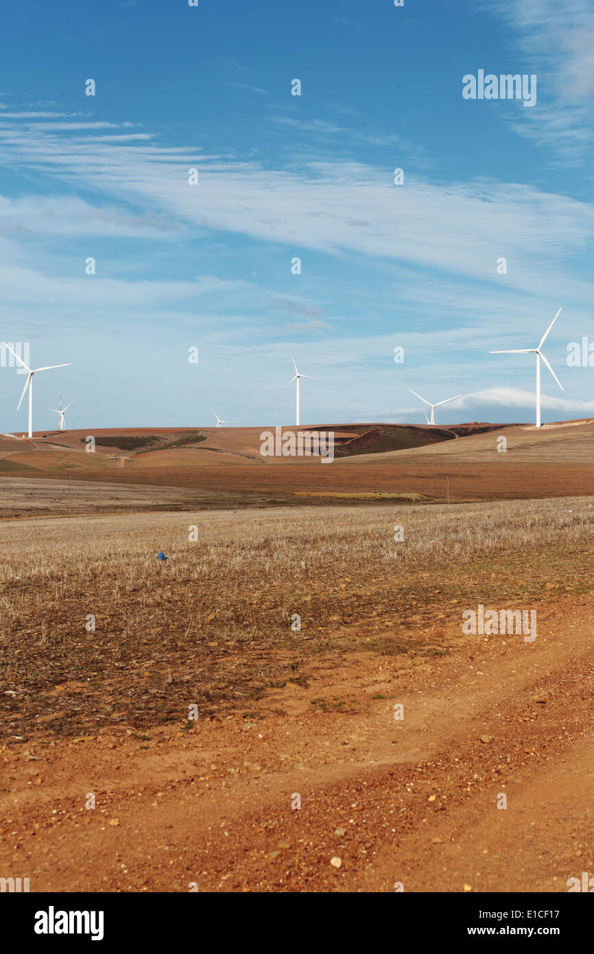 Wind farm in Caledon, South Africa Stock Photo - Alamy
