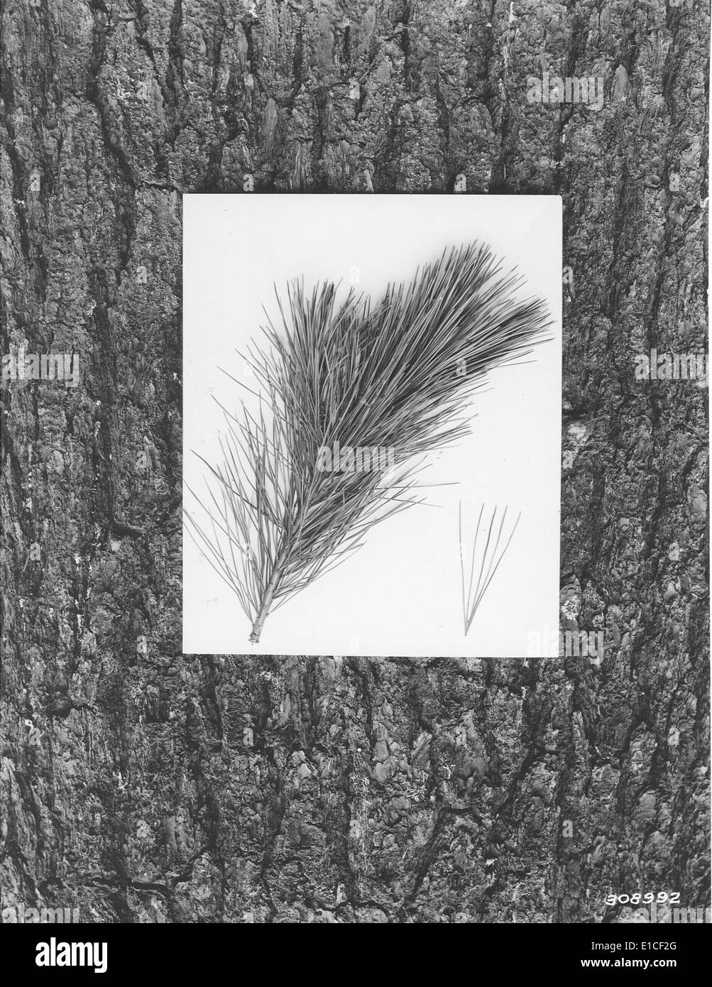 Preserved land Black and White Stock Photos & Images - Alamy