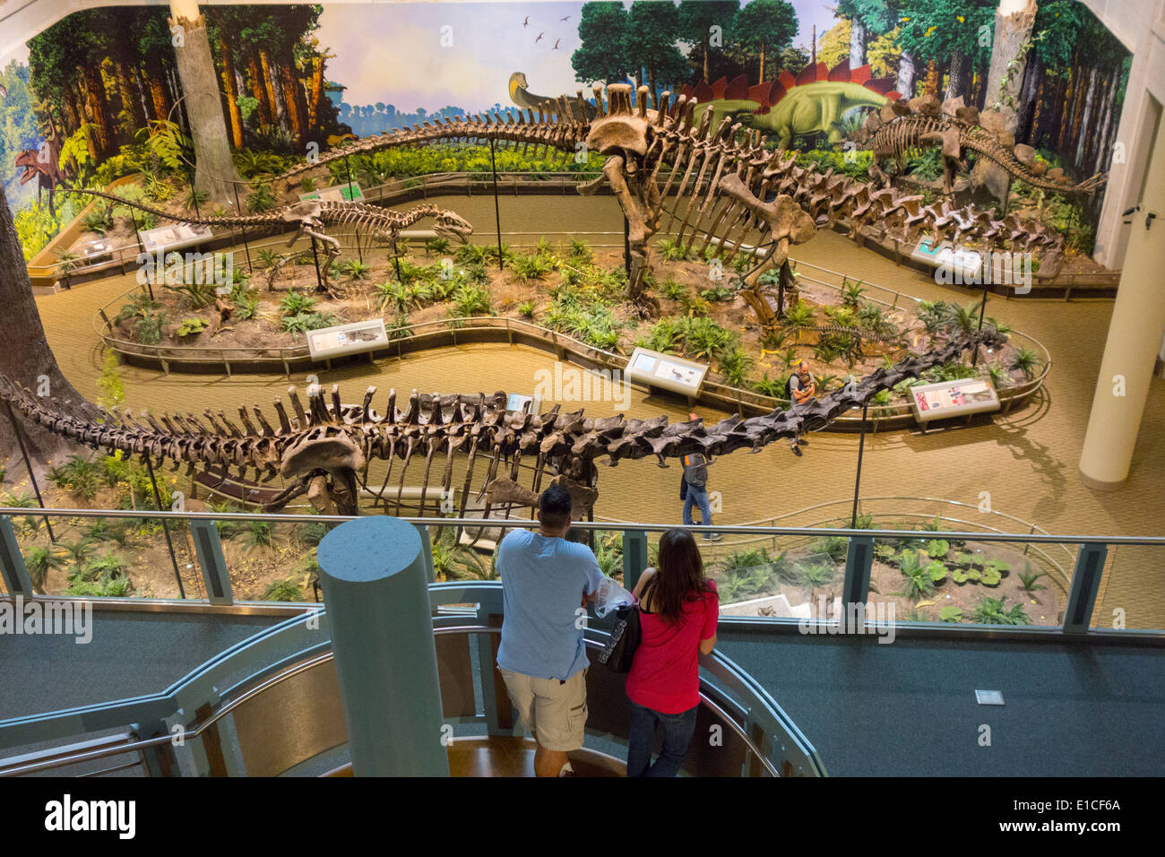 Carnegie museum of natural history in Pittsburgh PA Stock Photo - Alamy
