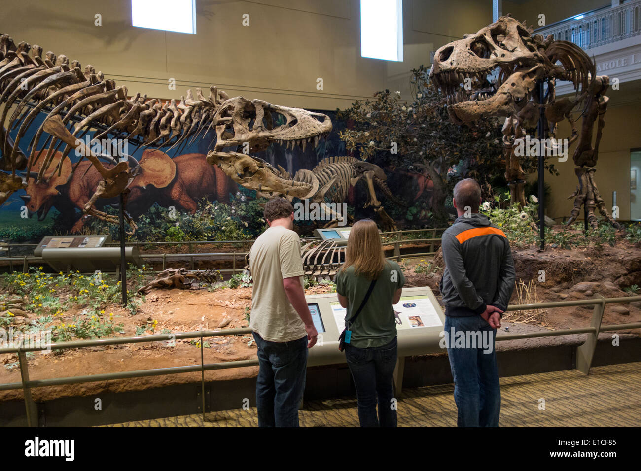 Carnegie museum of natural history in Pittsburgh PA Stock Photo - Alamy