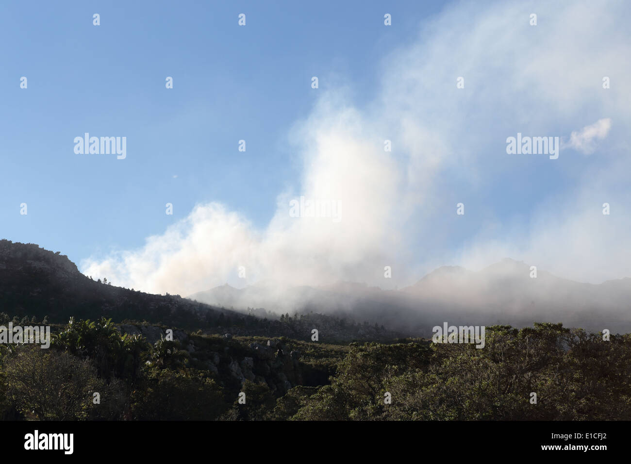 Caledon forest hi-res stock photography and images - Alamy