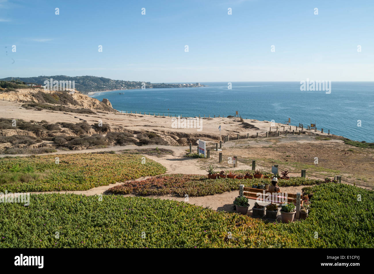 Cliffs above Black's Beach at La Jolla, California Stock Photo - Alamy