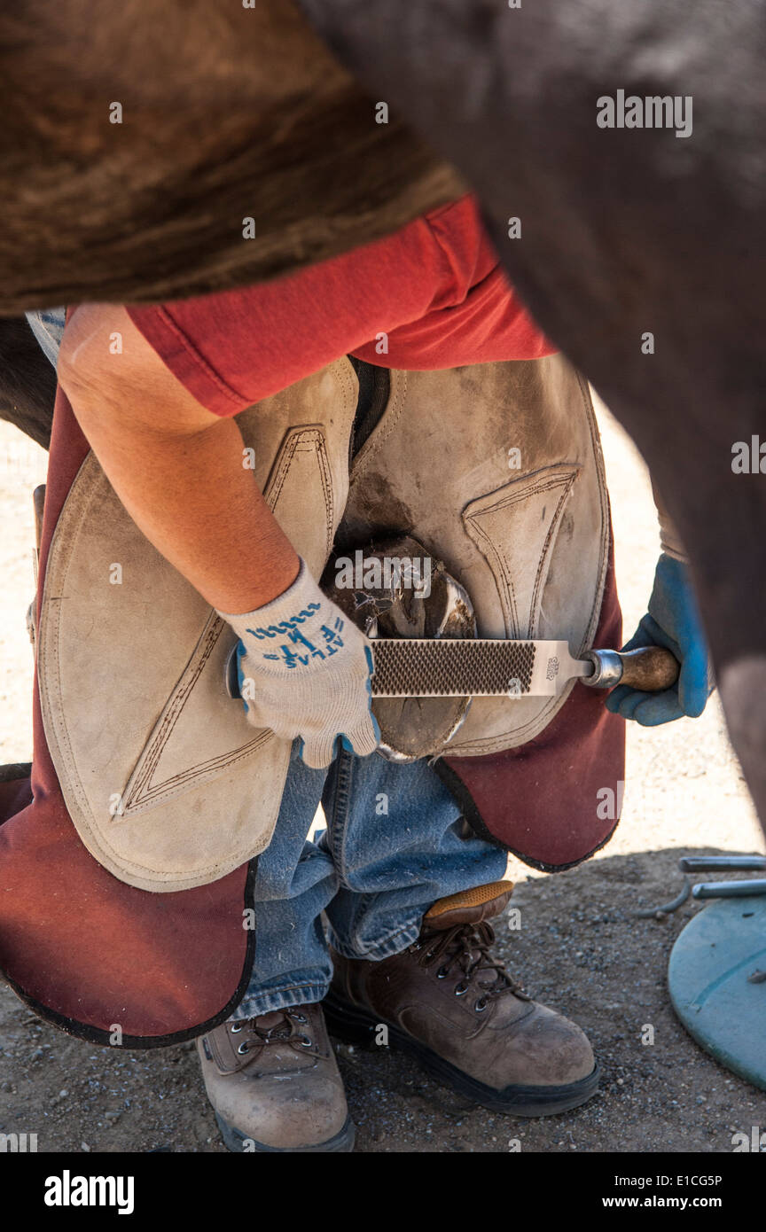 Farrier hi-res stock photography and images - Alamy