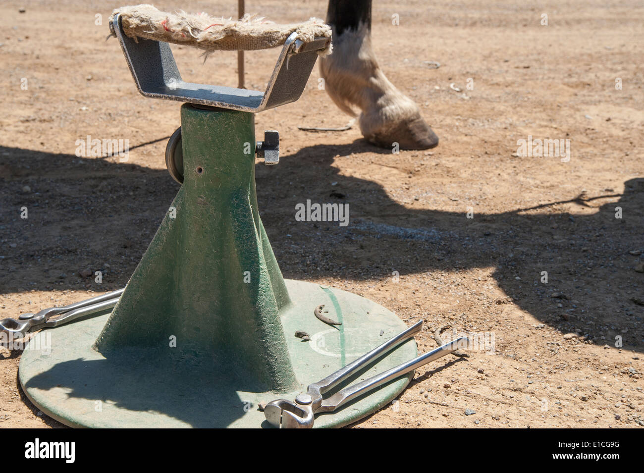 Stand with tools hi-res stock photography and images - Alamy