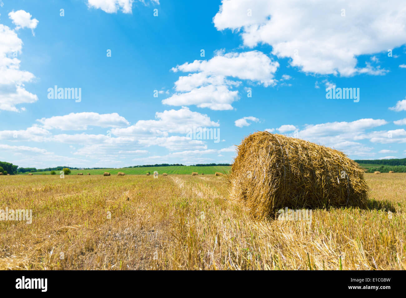 Hay in a roll hi-res stock photography and images - Alamy
