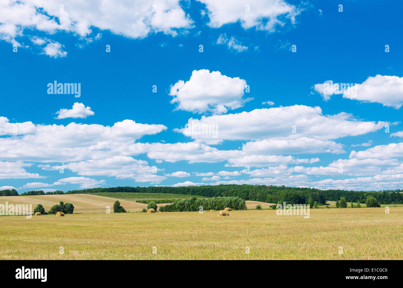 Hay in a roll hi-res stock photography and images - Alamy