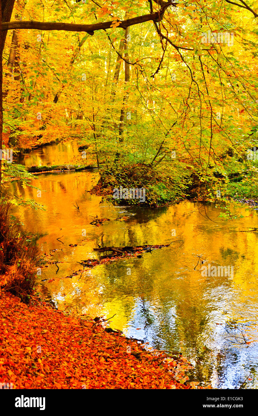 Very bright colors hi-res stock photography and images - Alamy