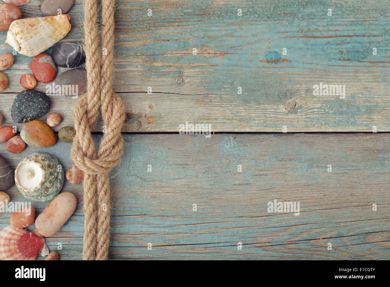 Row sea shells on white hi-res stock photography and images - Alamy