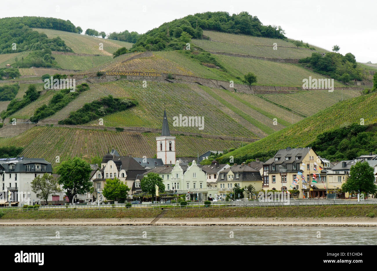 Assmannshauser hollenberg hi-res stock photography and images - Alamy