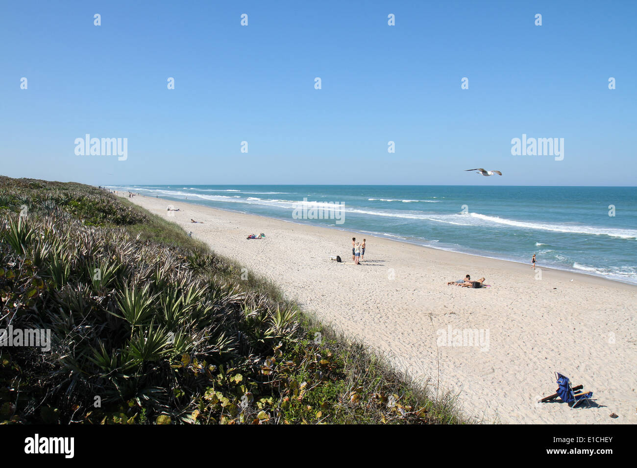 Merritt island beach hi-res stock photography and images - Alamy