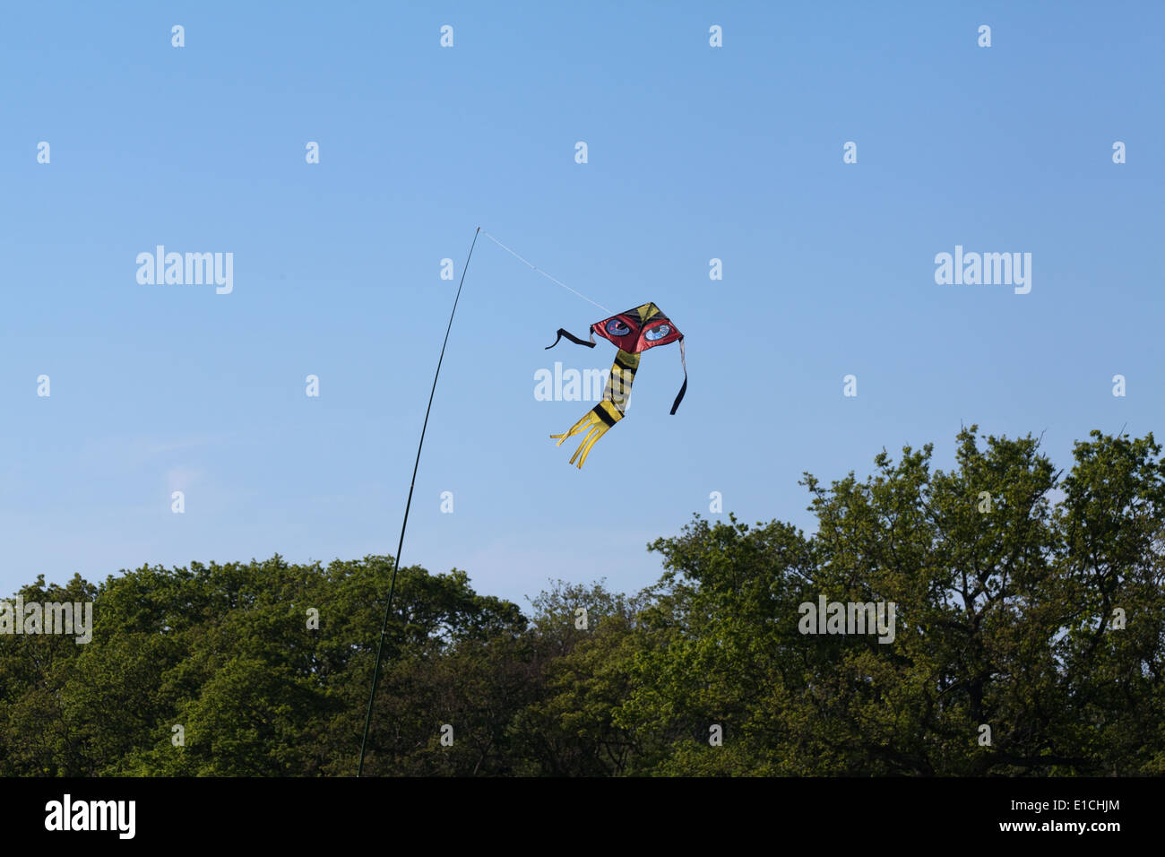 Bird scaring Kite, with much emphasized eyes. Used to act as a scaring ...