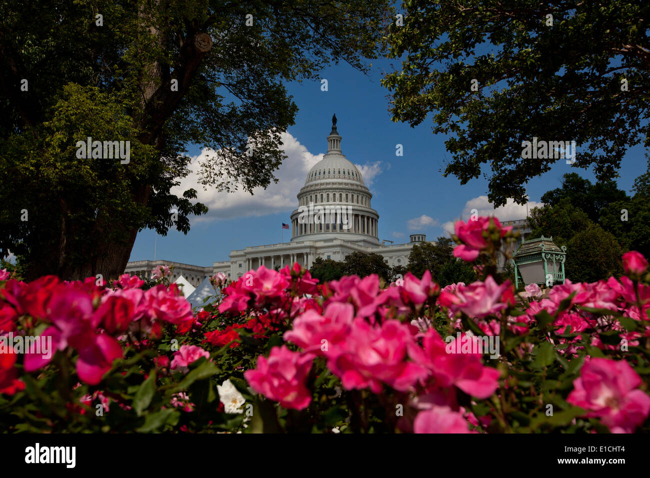 Capitol flowers hi-res stock photography and images - Alamy