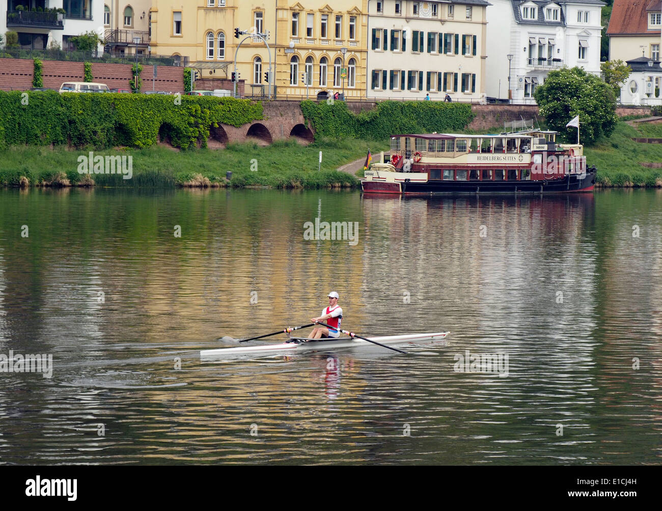 Heidelberg Man High Resolution Stock Photography and Images - Alamy