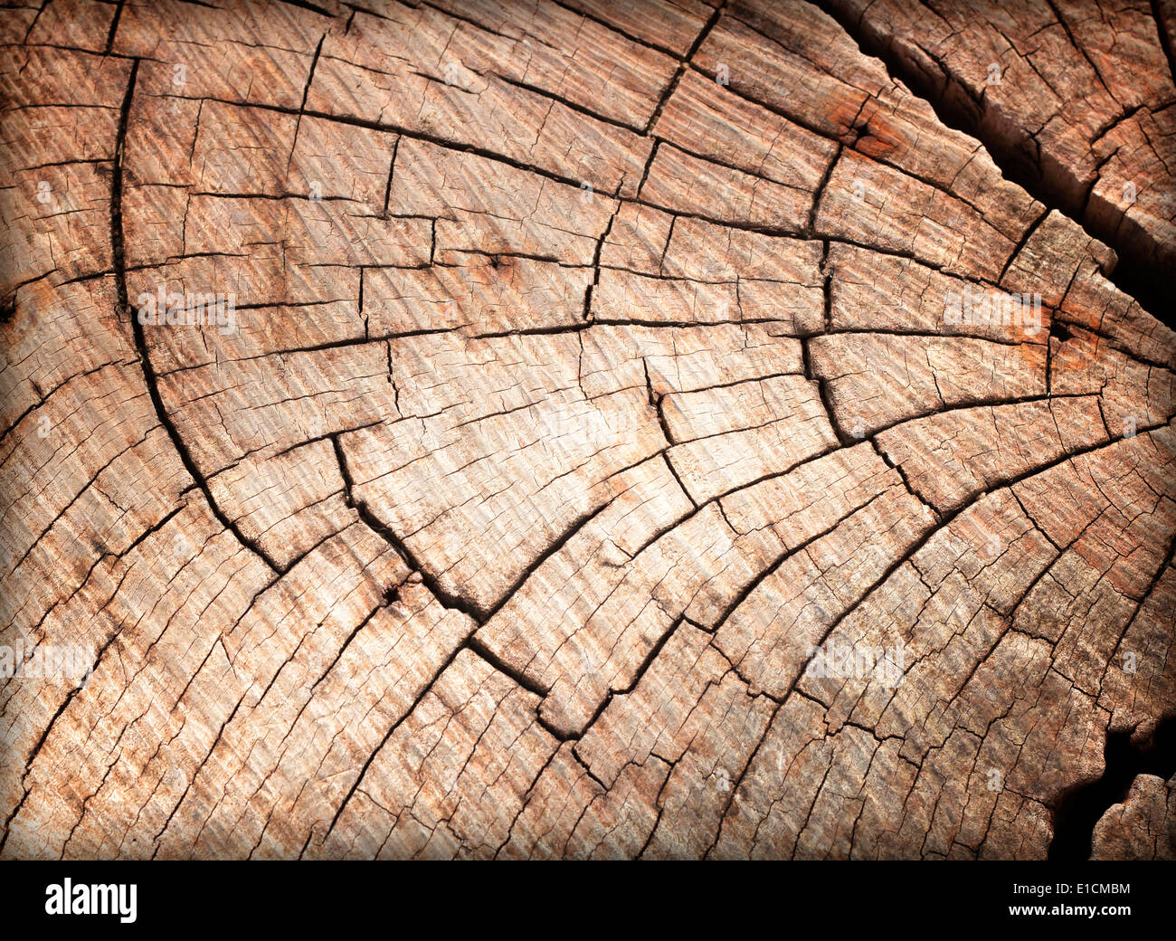 Old wood with cracks and cracked wood board Stock Photo - Alamy