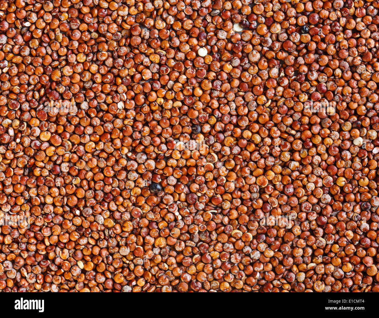 red quinoa background Stock Photo - Alamy