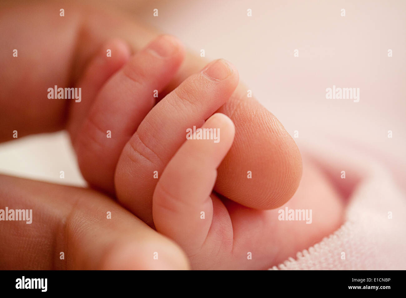 A babies hand lovingly holding her mothers hand Stock Photo - Alamy