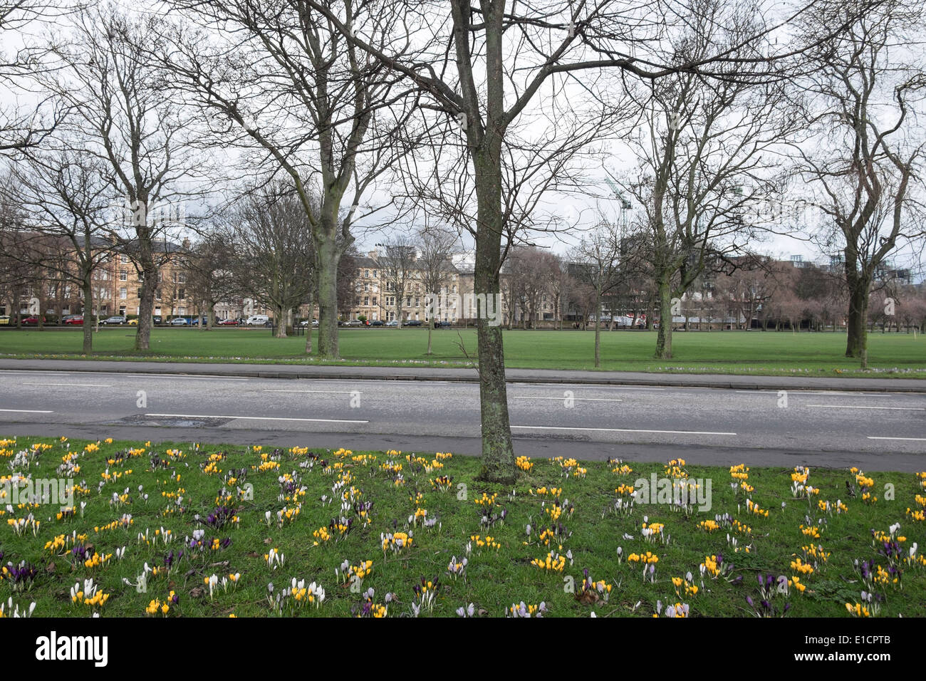 Meadows park in Edinburgh, Scotland Stock Photo - Alamy