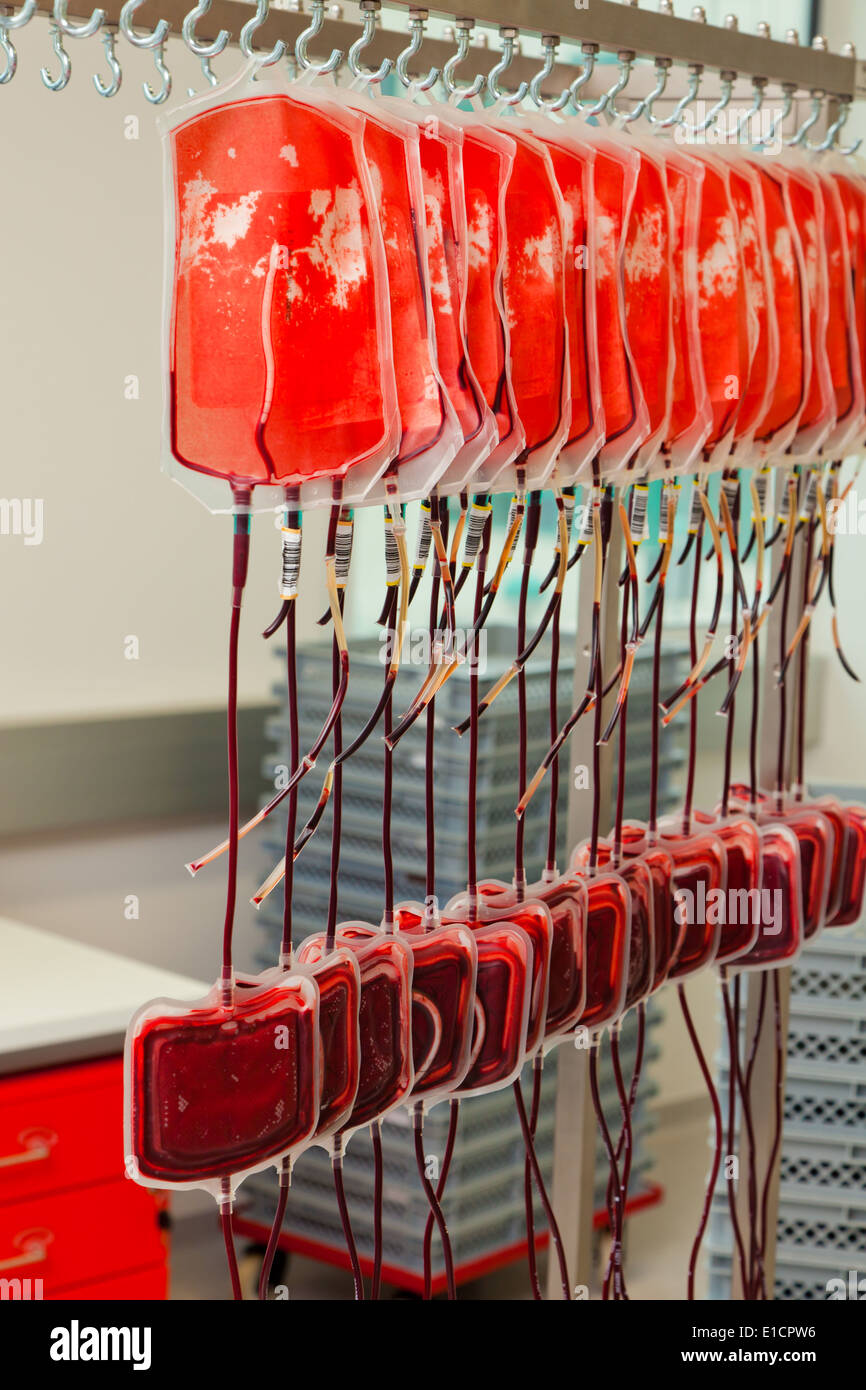Blood from blood donors in the blood lab. Health and Welfare Stock ...