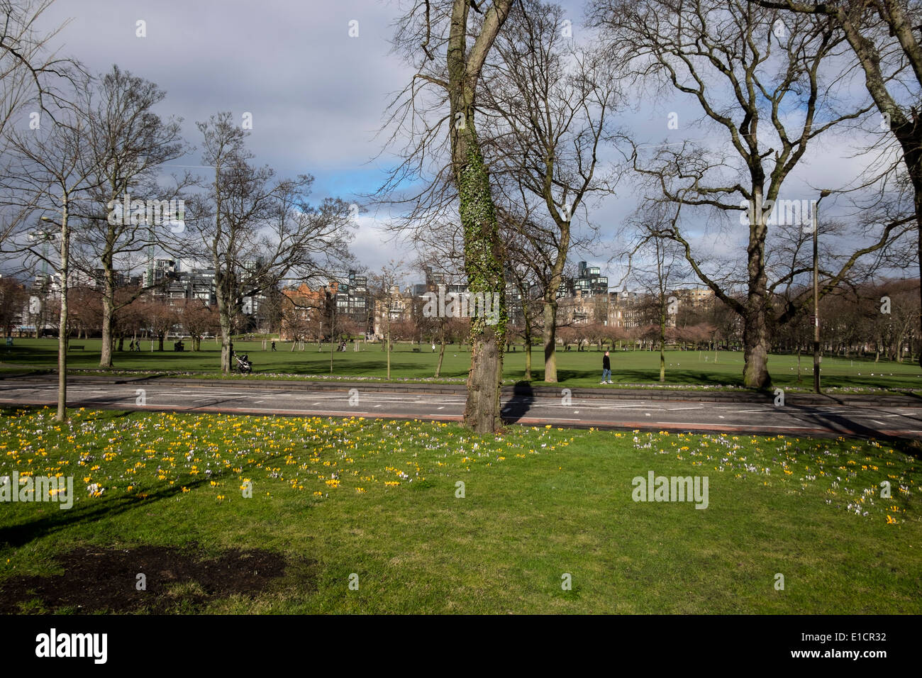 Meadows park in Edinburgh, Scotland Stock Photo - Alamy