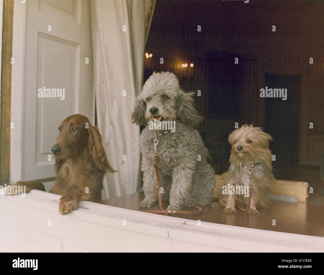 1960s presidents hi-res stock photography and images - Alamy