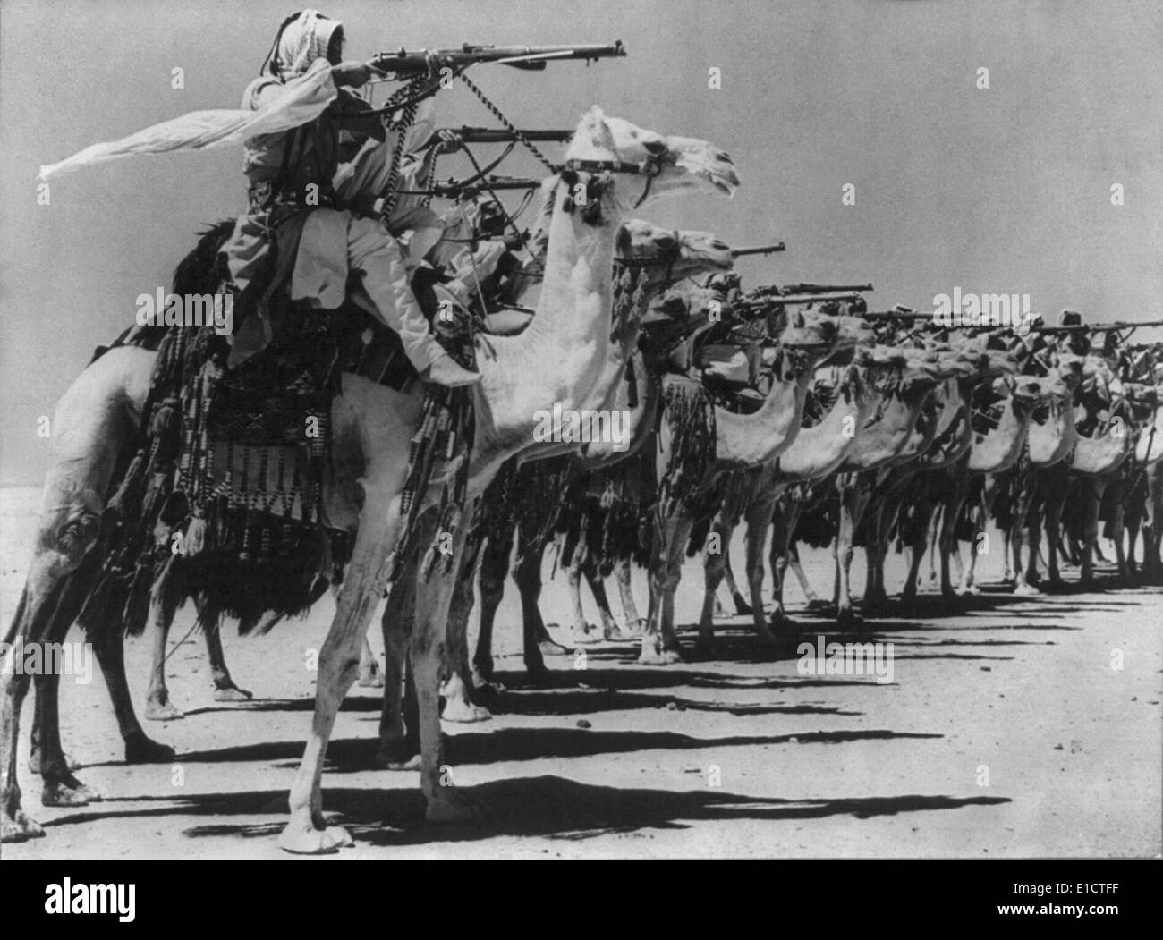 Camel Corps of the Arab Legion practice firing from the saddle during ...